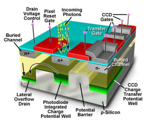 What is CCD (Charge Coupled Devices)