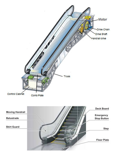 What is Escalator