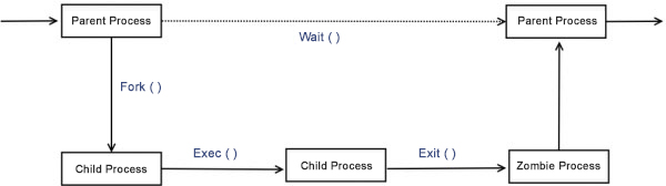 Introduction To Thread In Linux (Part 14/24)