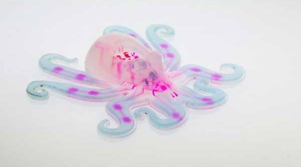 What is the meaning of soft robotics?