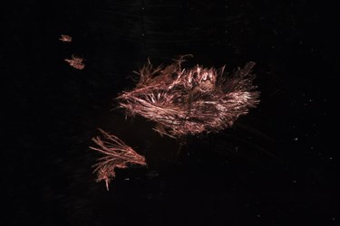 Double Helix Structure Discovered In Inorganic Material