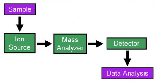 Mass Spectrometry