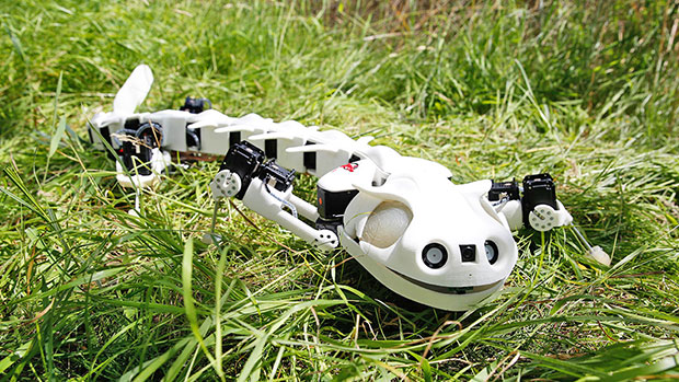 How EPFL crafted Pleurobot the Best Salamanderish Robot Ever