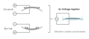 What are the different types of buzzers?