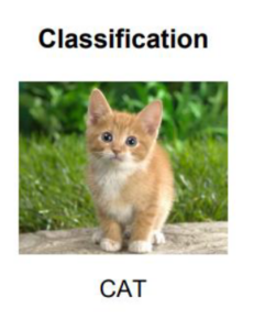 How computer vision or AI vision works